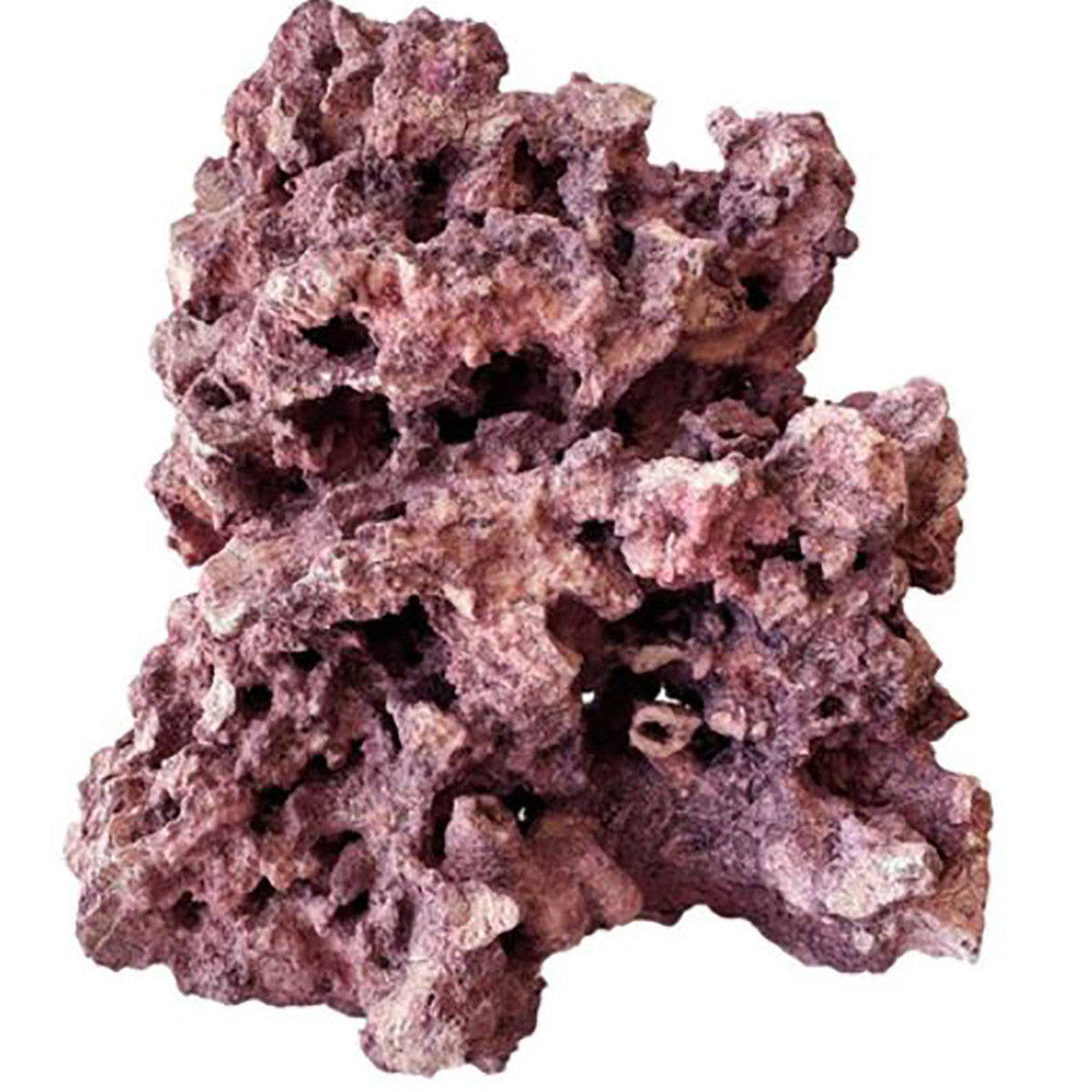MarcoRocks - Live Base Rock Coralline Purple – Whitlyn Aquatics